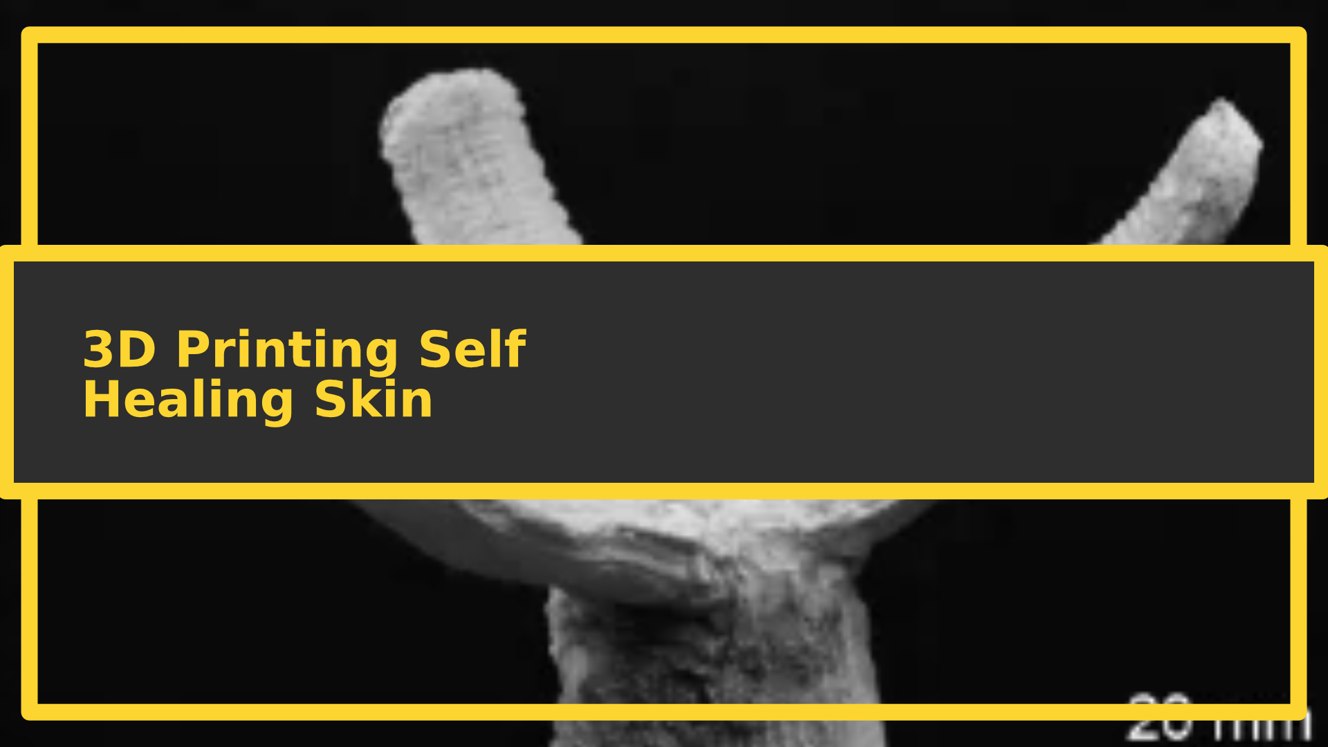 Evolving Skin Care: Exploring 3D Printed Self-Healing Skin