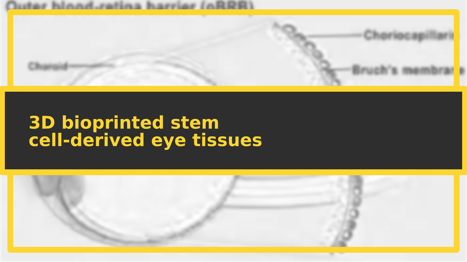 Research About 3D Bioprinted Stem Cell-Derived Eye Tissues